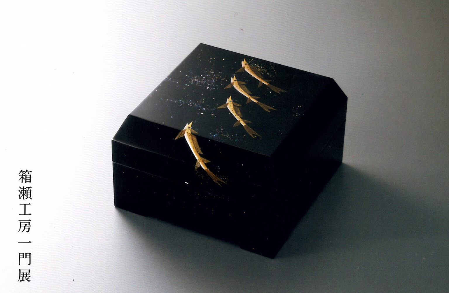 箱瀬 淳一 公式サイト | Junichi Hakose Official